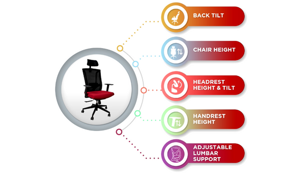 Ergonomics 101: Creating a Healthier Workspace with the Right Office C ...